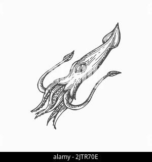 Cuttlefish squid with suckers isolated monochrome sketch icon. Vector seafood, armhook squid ...