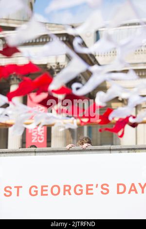 A spectator is seen behind decorations as people gather for St George’s ...