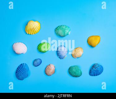 Colorful sea shell isolated Stock Photo - Alamy