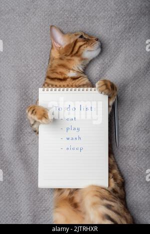 Top view of a cat with a white notepad sheet and a pen. Copy space ...