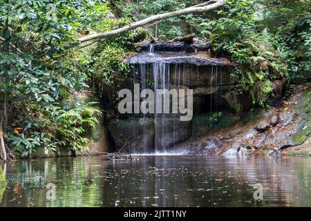 small waterfall in the lage park in Rio de Janeiro Brazil Stock Photo ...