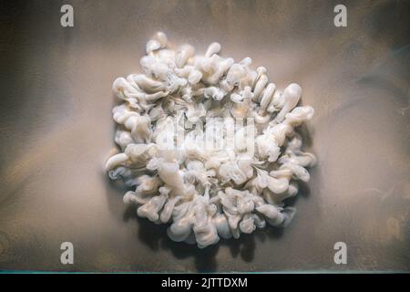 smoke puff background magic spell champagne silk Stock Photo - Alamy