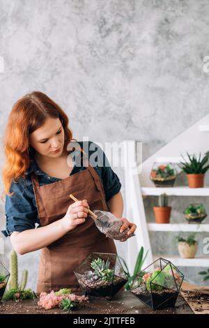 diy florarium plants growing hobby succulents Stock Photo - Alamy