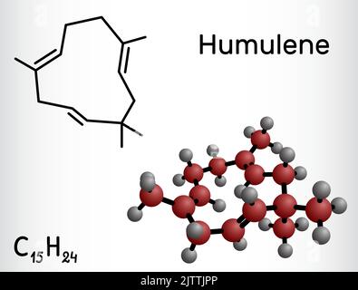 Humulene, alpha-humulene or ?-caryophyllene molecule. It is component ...