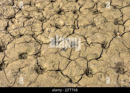 Flussbett, ausgetrocknet, Schlamm, ausgetrocknet, Kruste, verkrustet, hart, trocken, Klimawandel ...