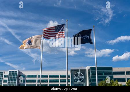 Whippany, NJ, USA - August 16, 2022: Bayer logo is seen at its U.S ...