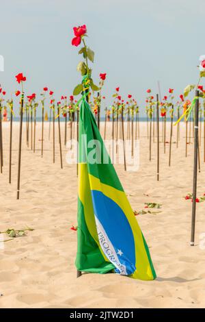 Red rose in the sand of Copacabana beach in Rio de Janeiro Brazil Stock ...