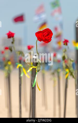 Red rose in the sand of Copacabana beach in Rio de Janeiro Brazil Stock ...