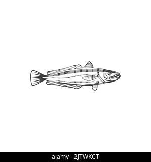 Hake cod-like fish isolated monochrome icon. Vector psychidae Atlantic ...