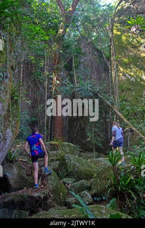 The Rock Garden, Paluma Range National Park Stock Photo - Alamy