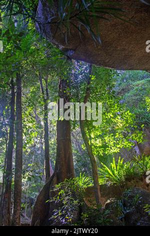 The Rock Garden, Paluma Range National Park Stock Photo - Alamy