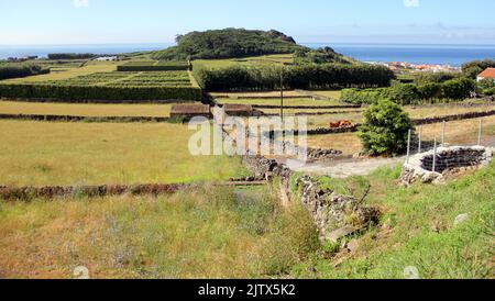 Rural landscape near Porto Judeu, Atlantic Ocean in the background ...
