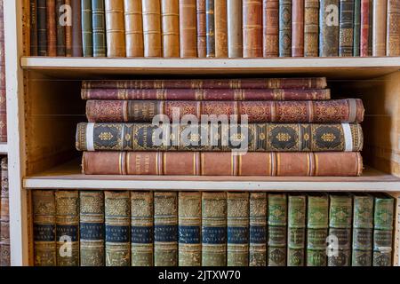 Old books on wooden shelf. wooden Bookshelf background. Concept on the ...