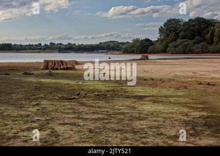 Chew Valley drought 2022 heatwave Stock Photo - Alamy