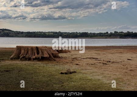 Chew Valley drought 2022 heatwave Stock Photo - Alamy