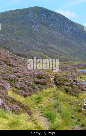 Upper Glen Callater, a Site of Special Scientific Interest within The ...