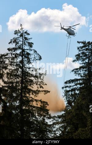 Gehlberg, Germany. 02nd Sep, 2022. Soil-moist lime marl lies on the ...