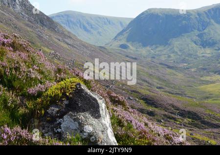Upper Glen Callater, a Site of Special Scientific Interest within The ...