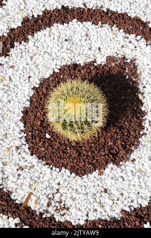 Background with a stone, small, round, flower-shaped grace note Stock ...