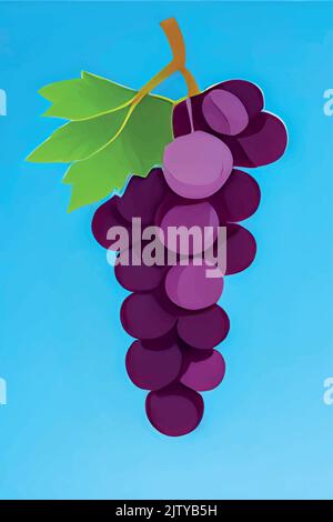 A vine of black grapes, a vertical vector illustration Stock Vector ...