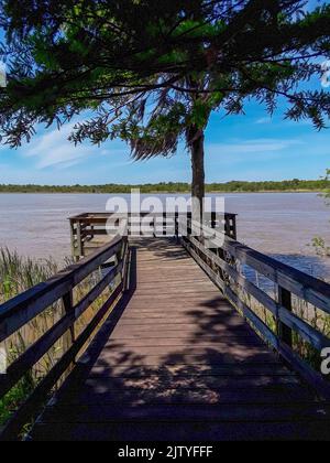 Blakeley State Park waterfront on the Tensaw River Stock Photo - Alamy