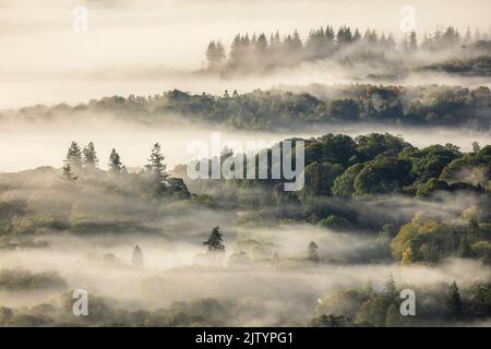Misty View from Loughrigg Fell, Lake District National Park, Cumbria ...