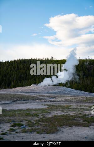 A geyser steam coming out of the ground in the early morning Stock ...