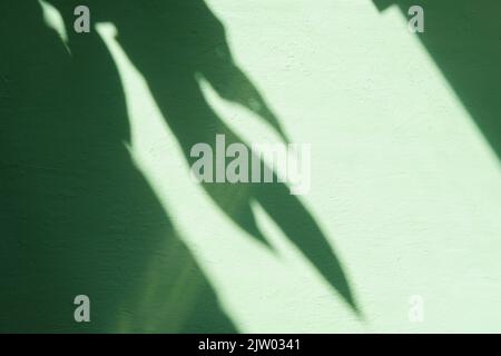 Natural leaves shadow on gradient paper background. Abstract texture ...
