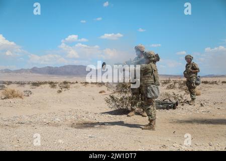 A U.S. Soldier assigned to 299th Brigade Support Battalion, 2nd Armored ...