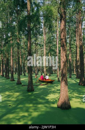 YANGZHOU, CHINA - SEPTEMBER 1, 2022 - Tourists play at Luyang Lake ...