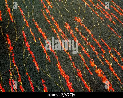 The red pattern looked like a flame on the floor carpet Stock Photo - Alamy
