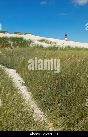 dunes, hiking trail, lighthouse, Amrum Island, North Friesland ...