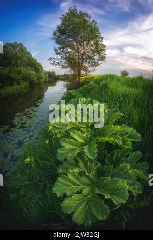 Podolsk, Moscow region, Podolsk district Stock Photo - Alamy