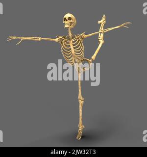 Dancing skeleton, illustration. A human skeleton in a ballet pose Stock ...