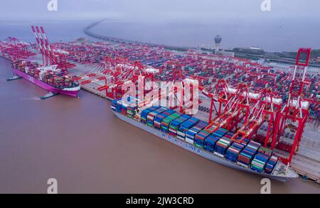 SHANGHAI, CHINA - SEPTEMBER 3, 2022 - Multiple container ships perform ...