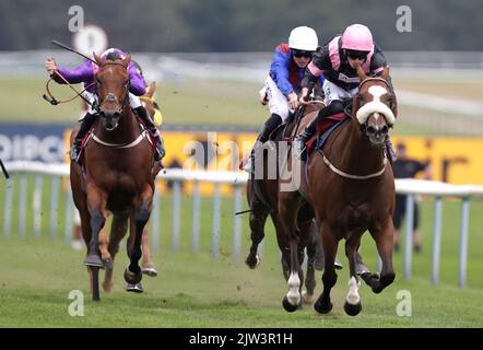 Look Out Louis ridden by jockey Barry McHugh (right) wins the Betfair ...