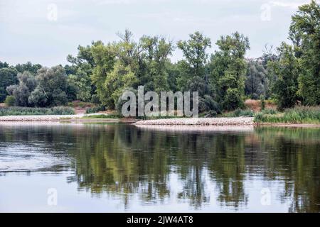 A close-up of the Oder River shoreline seen in Pomorsko. The Oder is a ...