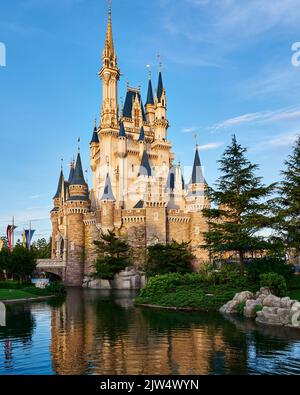 Tokyo Disneyland Castle Stock Photo - Alamy