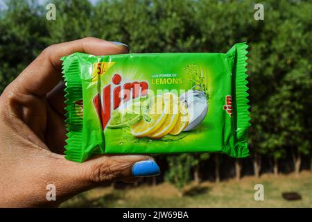 Female holding Utensil Dishwash soap Vim bar lemon. Lemon Vim bar soap ...