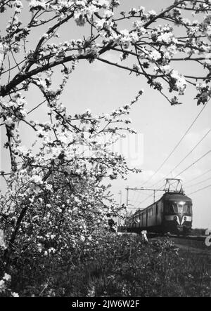 Image of an electric train set matt. 1946 of the N.S. at the height of ...