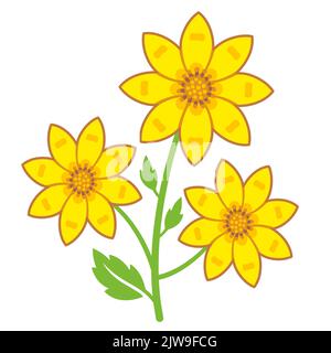 Adey abeba Ethiopian flower, symbol of Enkutatash (Ethiopian New Year ...