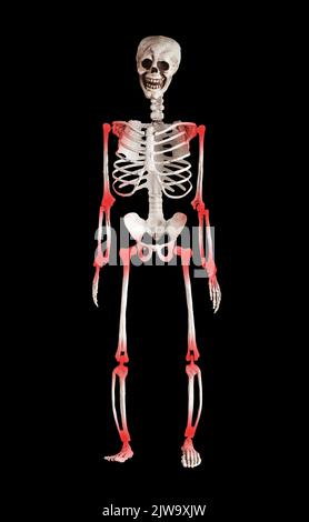 Joints and bones ache concept. Unhealthy bad skeleton on blue. High ...
