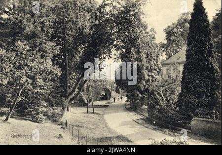 View of the Greb -Beweg with surrounding forest in Grebbe (municipality ...