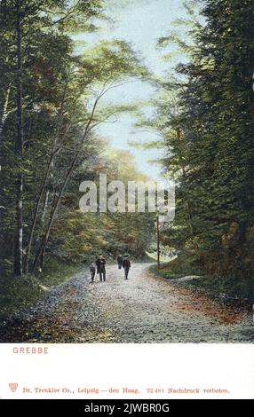 View of the Greb -Beweg with surrounding forest in Grebbe (municipality ...