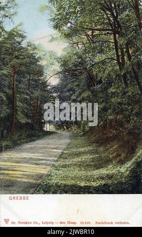 View of the Greb -Beweg with surrounding forest in Grebbe (municipality ...