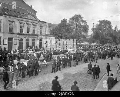 View of the Veemarkt on Vredenburg in Utrecht; On the left a part of ...