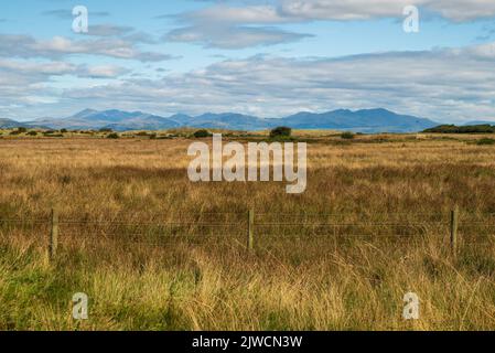 Sandscale Haws National Trust nature reserve Stock Photo - Alamy