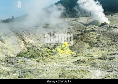 fumarole field on the slope of Mendeleev volcano on Kunashir island ...