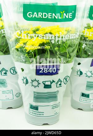 Hamburg, Germany - August 30 2022: Braun Hairdryer Satin Hair 5 close ...