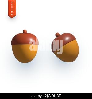 Realistic acorn in different projections. Vector illustration Stock ...